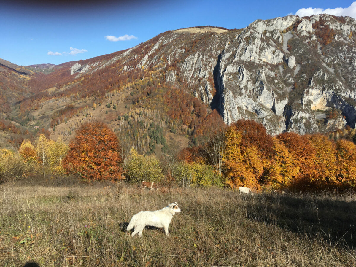 Hiking - Satul Cheia